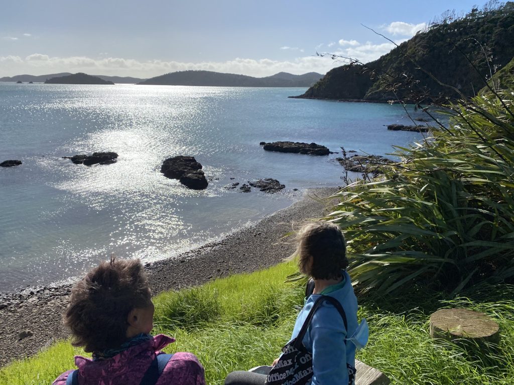 Walk 4 The Pāroa Bay Vineyard –Lunch & Wine 9th,11 October