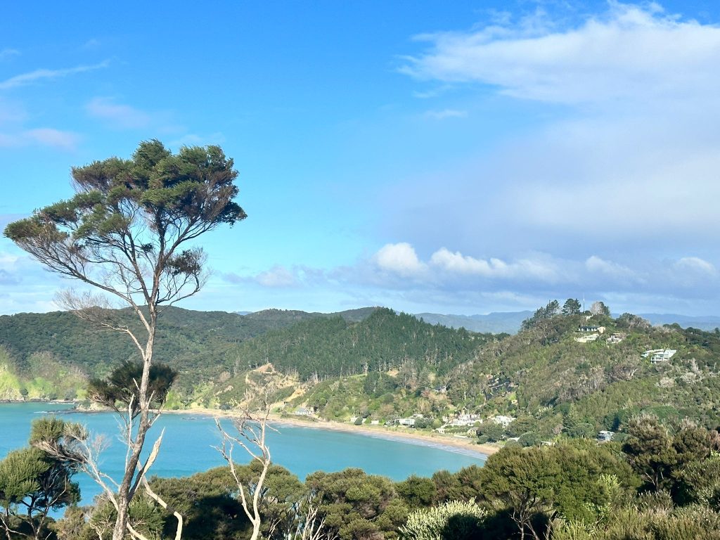 Walk 22 Sunday Meander and Picnic via Long Beach 12th Oct